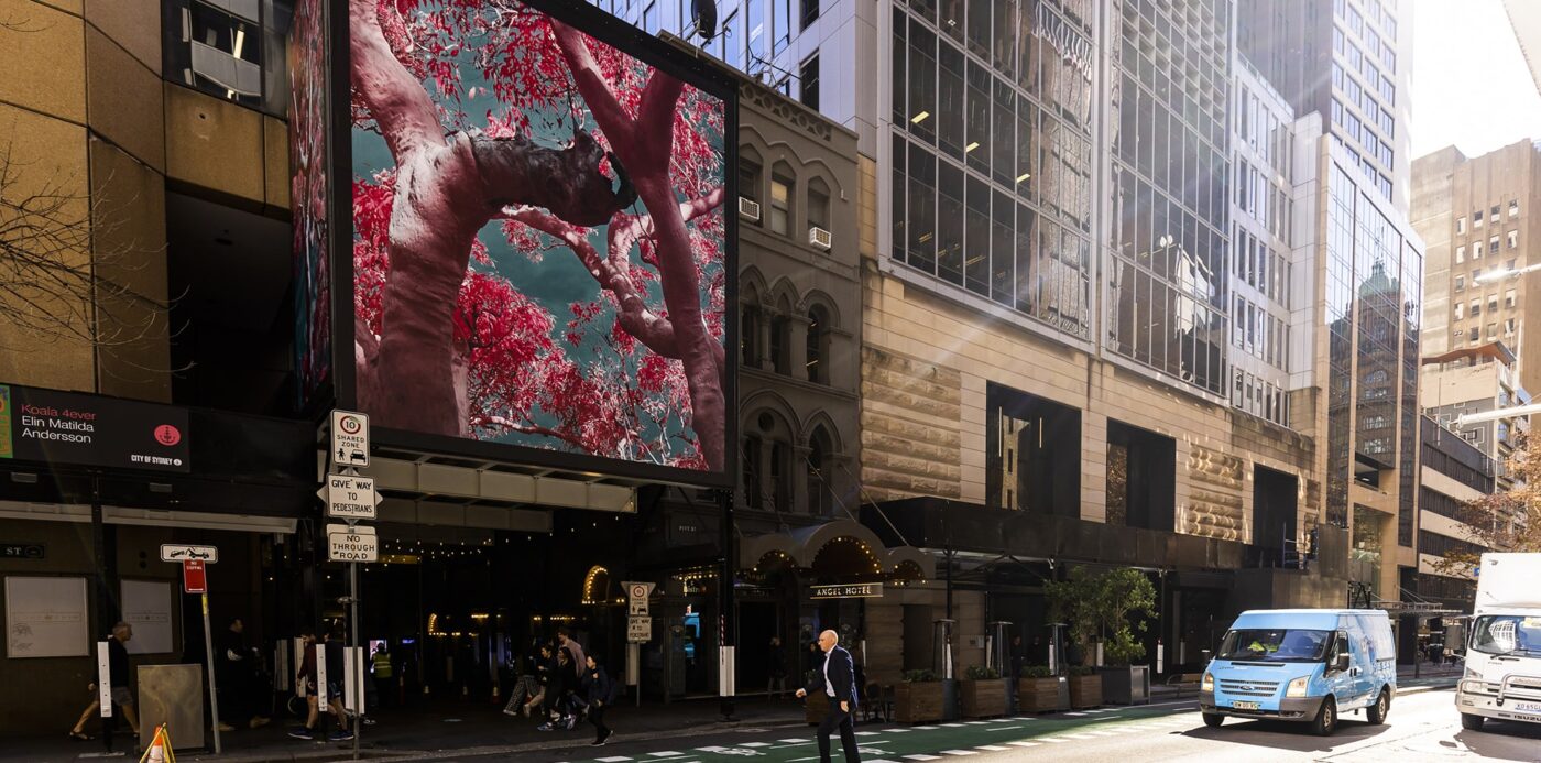 Angel Place - Buildcorp