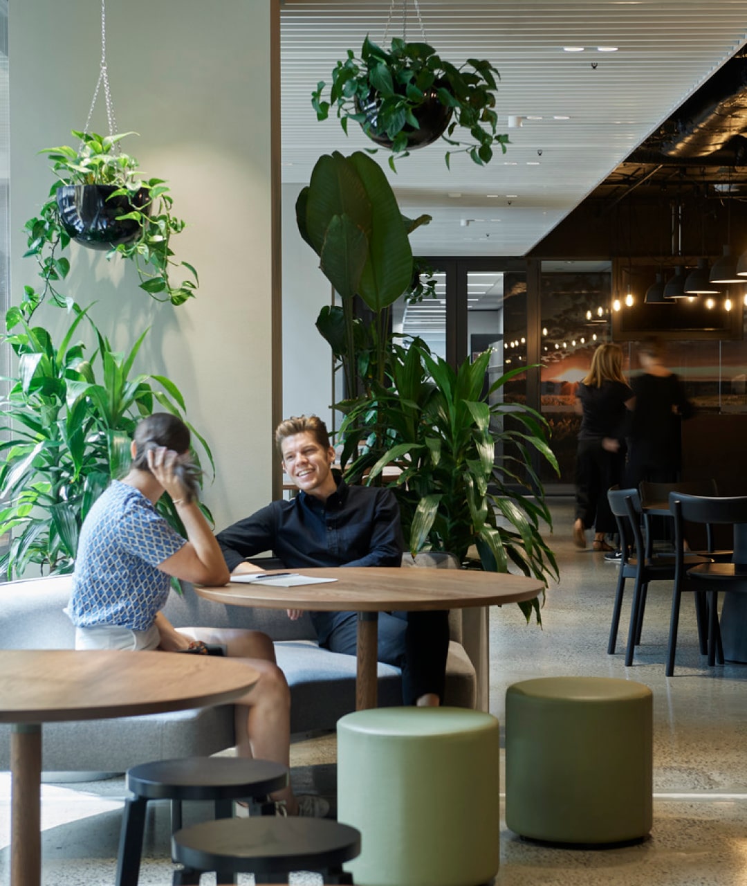 Treasury Wine Estates - Buildcorp