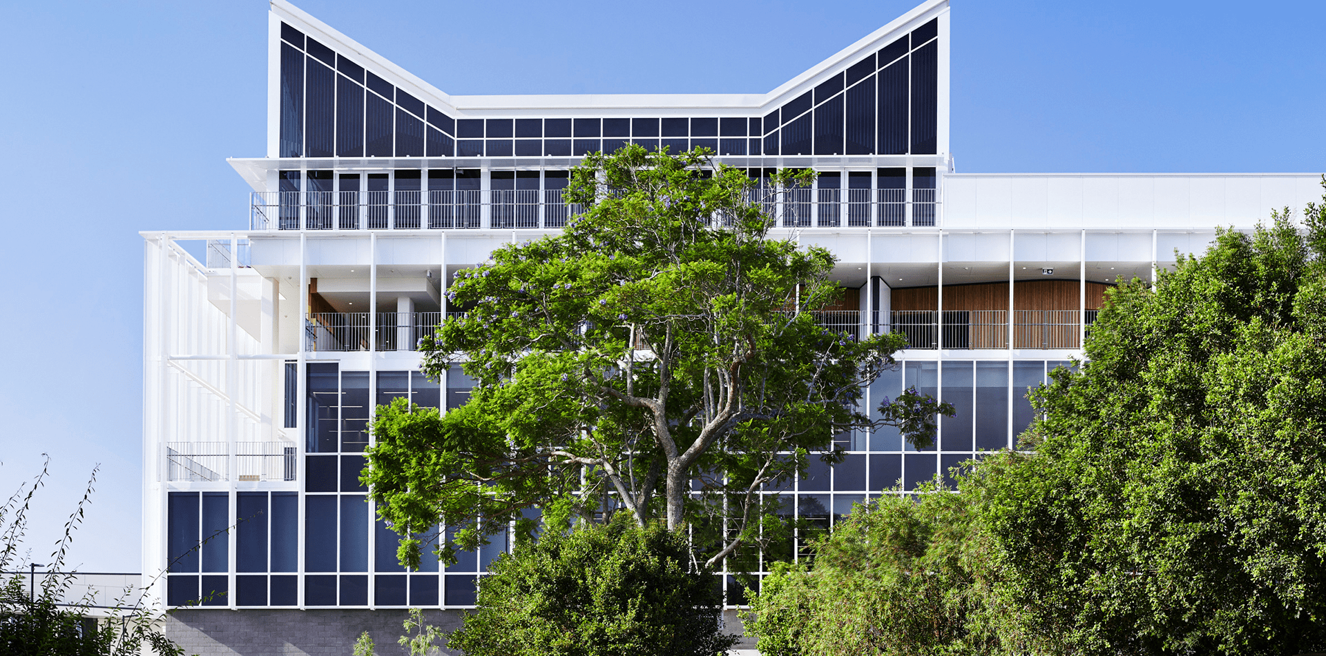 Australian Catholic University Mercy Building - Buildcorp